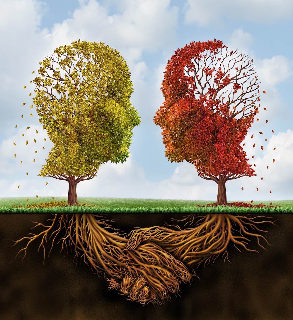 Pack Formation de base Certifiante - Cathy Assenheim