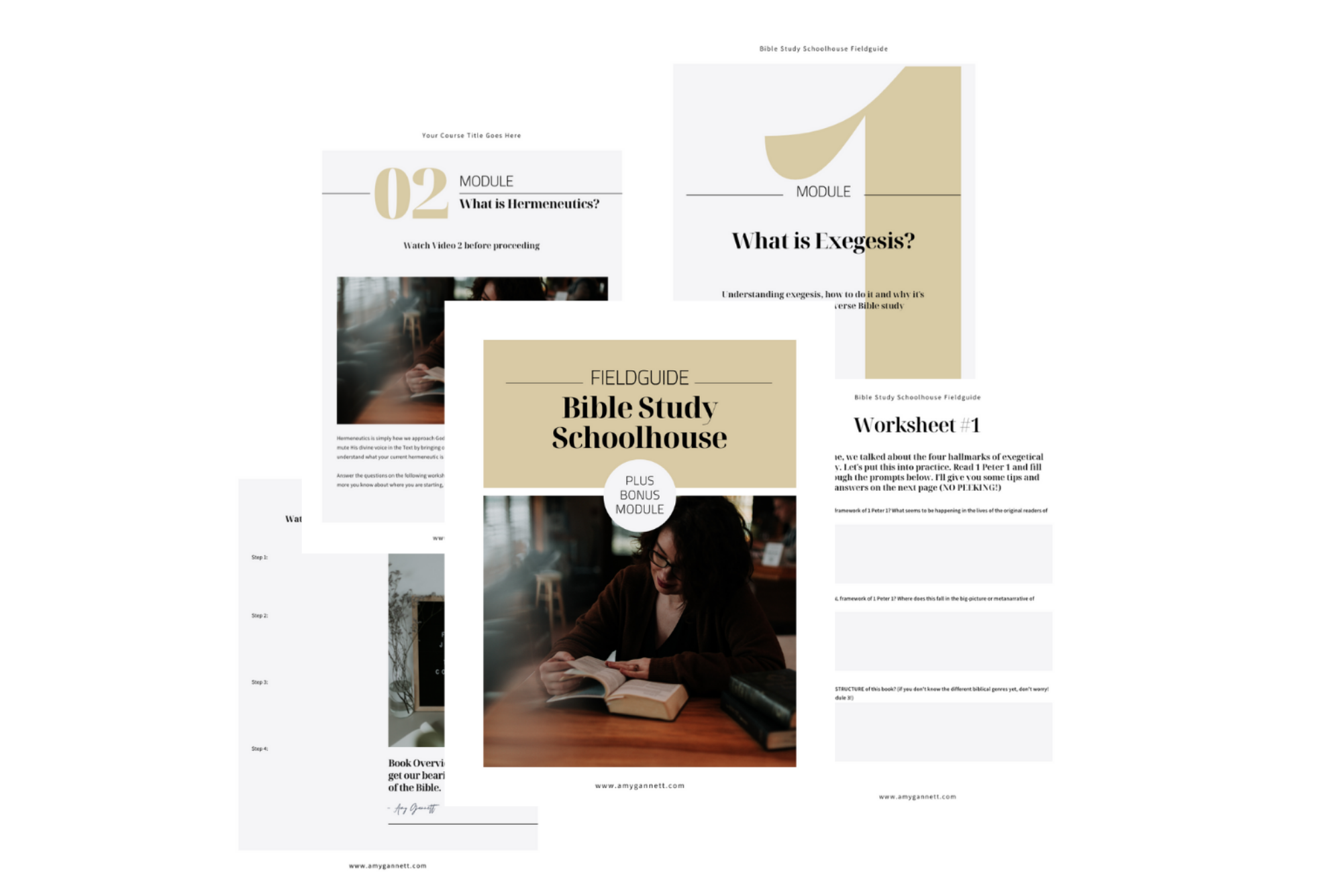 Bible Study Schoolhouse Fieldguide