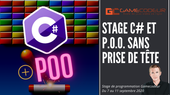 Code Camp C# : La méthode complète pour apprendre à coder un jeu en C# ...
