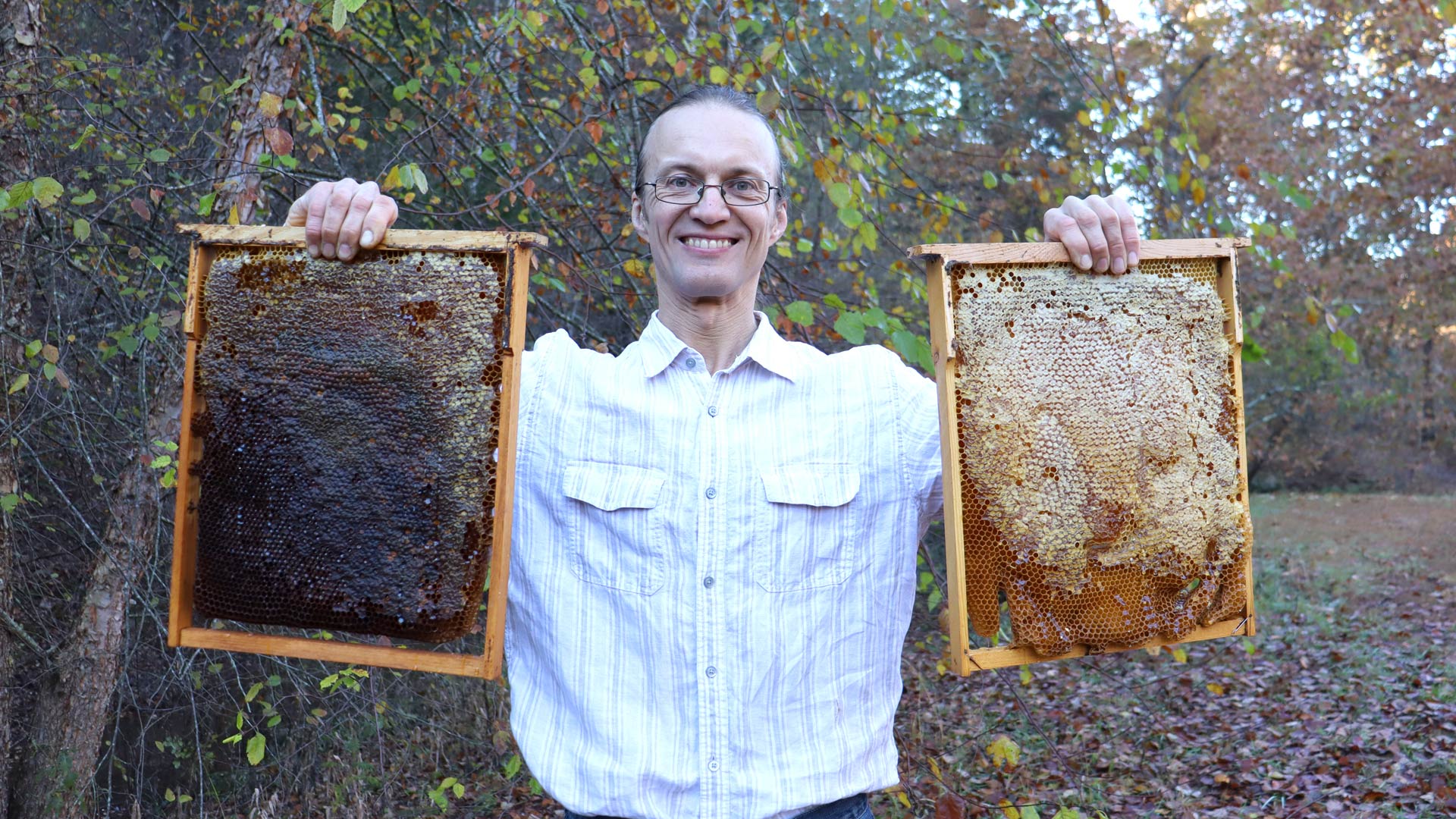 Questions & Answers with Dr. Leo • Webinar Recording (2.5 hrs) • 500 ...