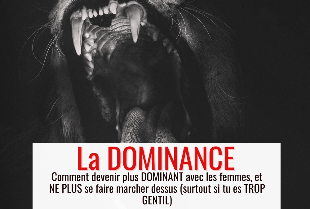 n2🦍La DOMINANCE - Comment devenir plus DOMINANT avec les femmes, et NE ...