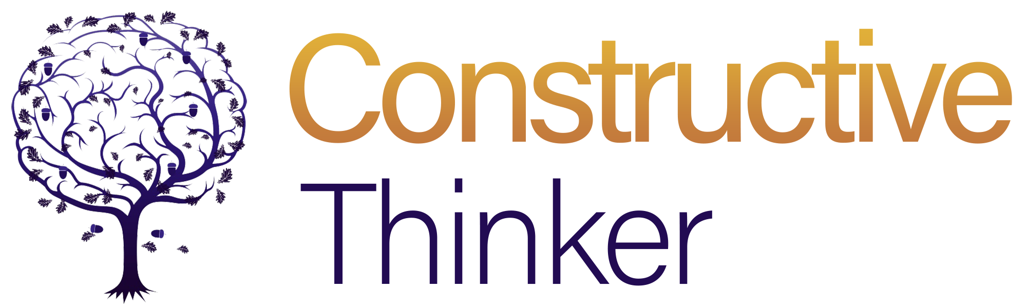 Constructive Thinker