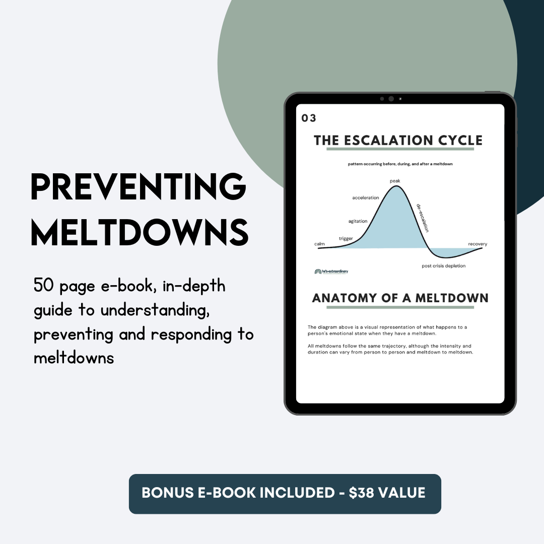 Meltdown Magic Mini Workshop