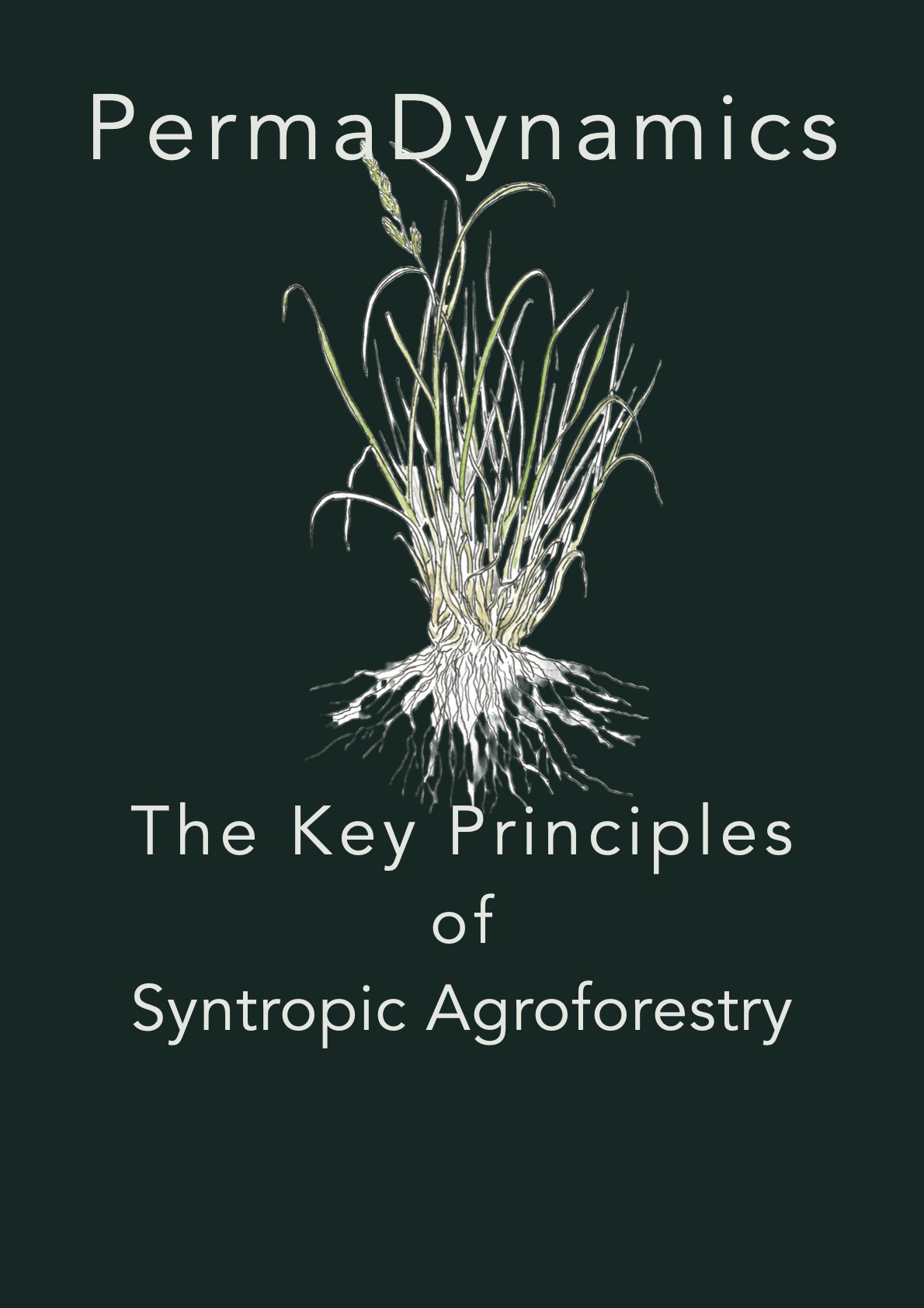Key Principles of Sytropic Agroforestry
