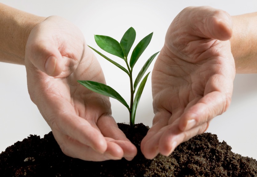 Marma Energy Points of Ayurveda