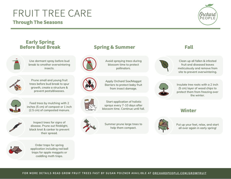 Grow Fruit Trees Fast - Online Course from OrchardPeople.com