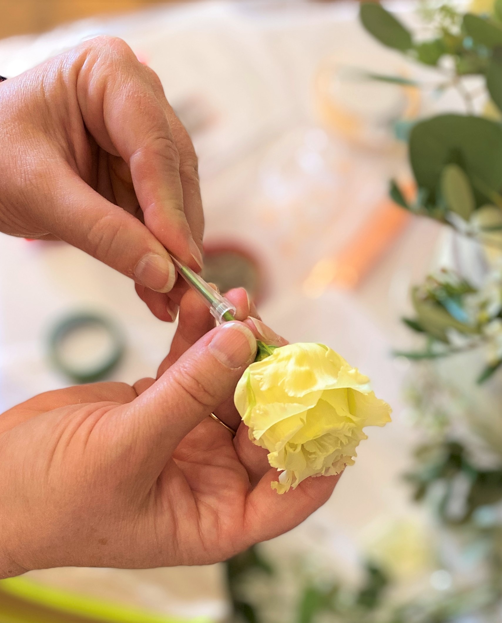 Essential Cake Foundations