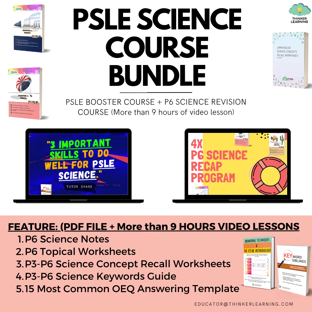 PSLE COURSE BUNDLE