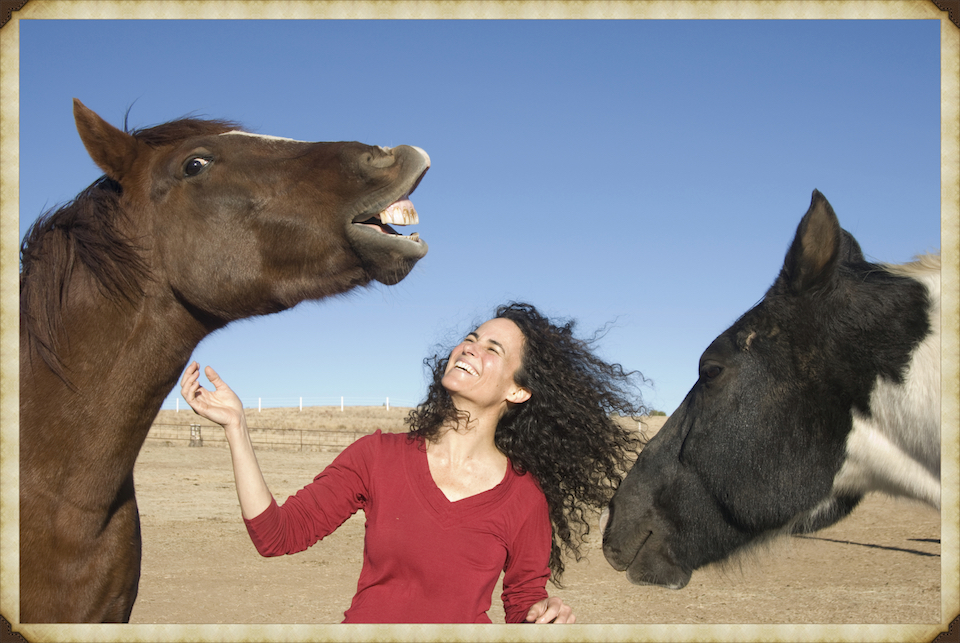 Animal Communication School ~ Maia Kincaid