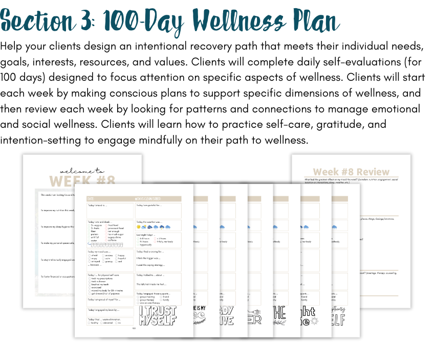 Beyond Addiction Workbook, Clinical License