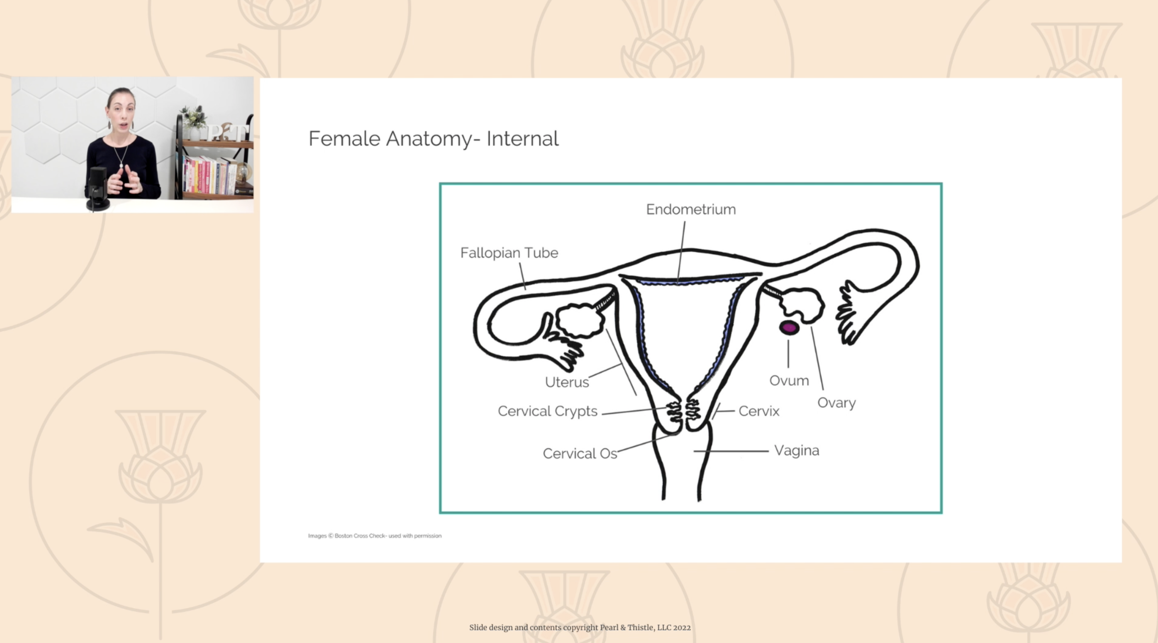 Anatomy Fertility And Reproduction For Catholic Teens Home Use