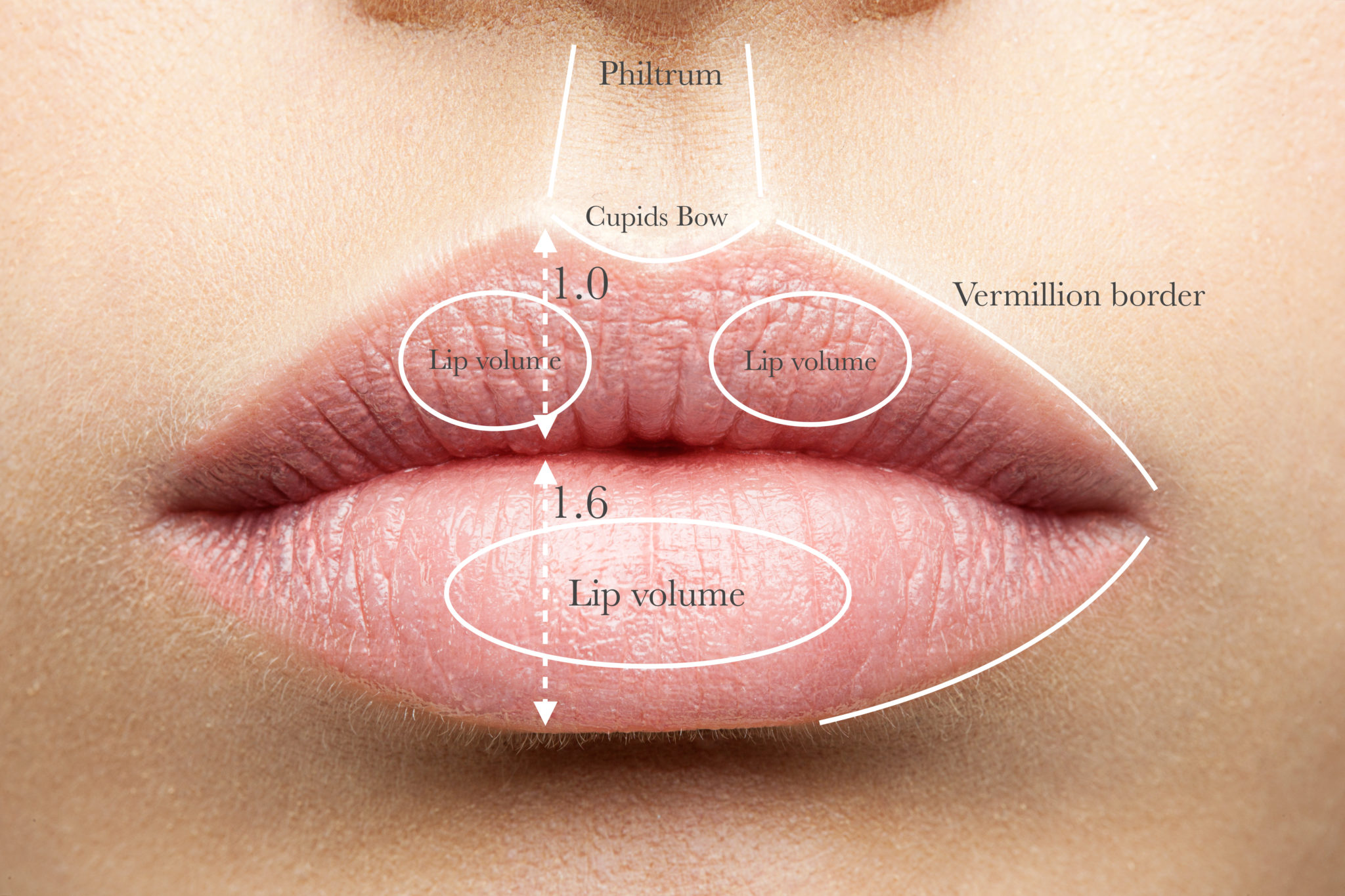 9 Carte des lèvres pour la méthode Hyaluronic Lips