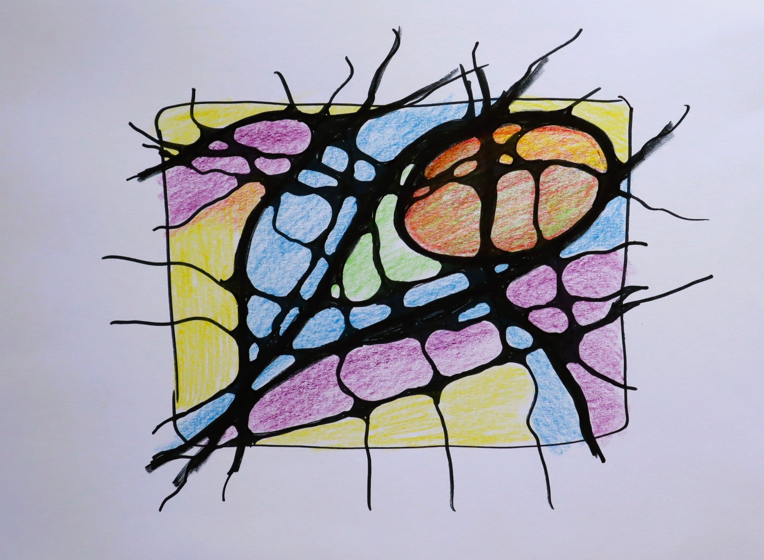 Neurographica Basic User Course-ENG