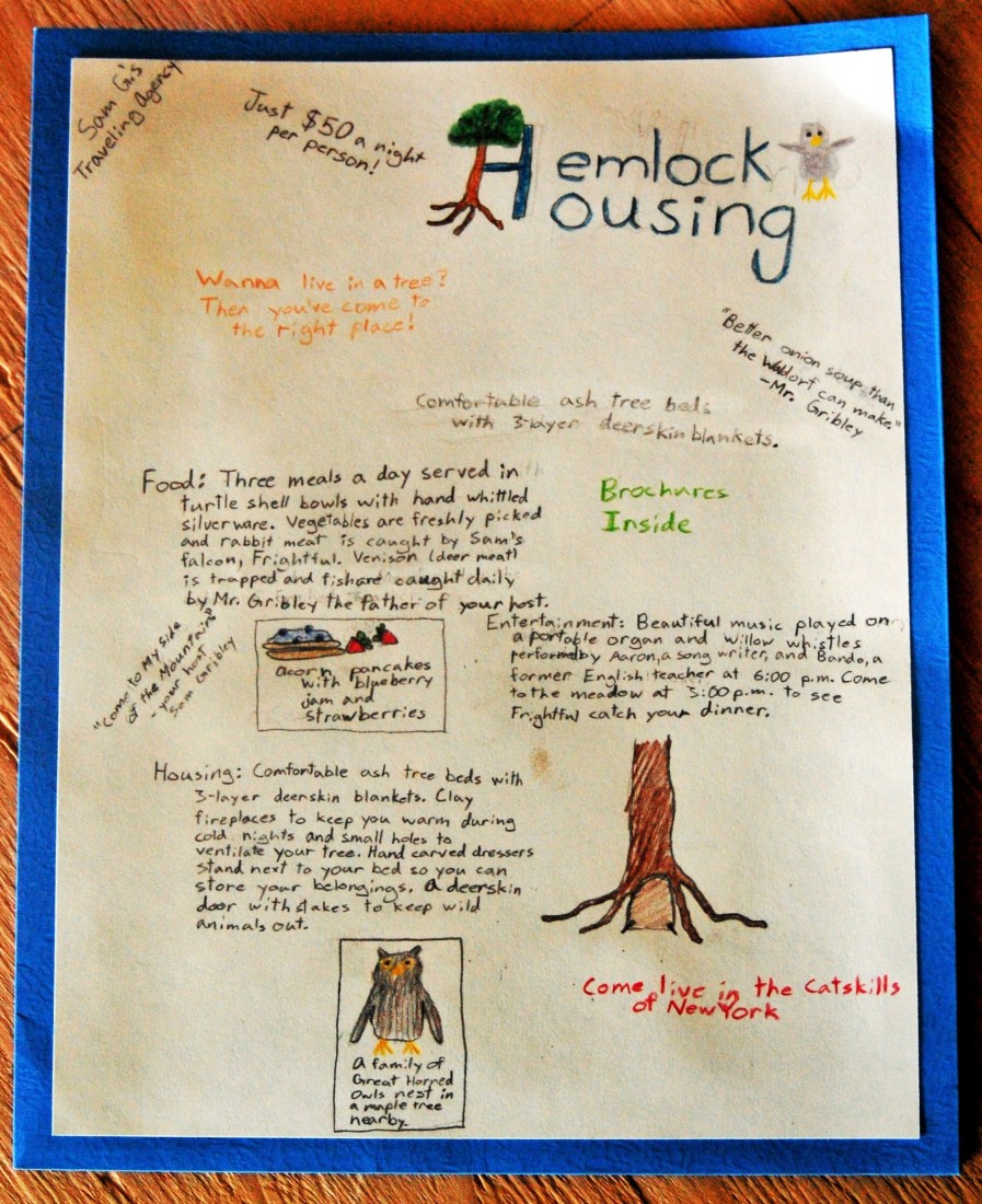 Creative teaching ideas for MY SIDE OF THE MOUNTAIN