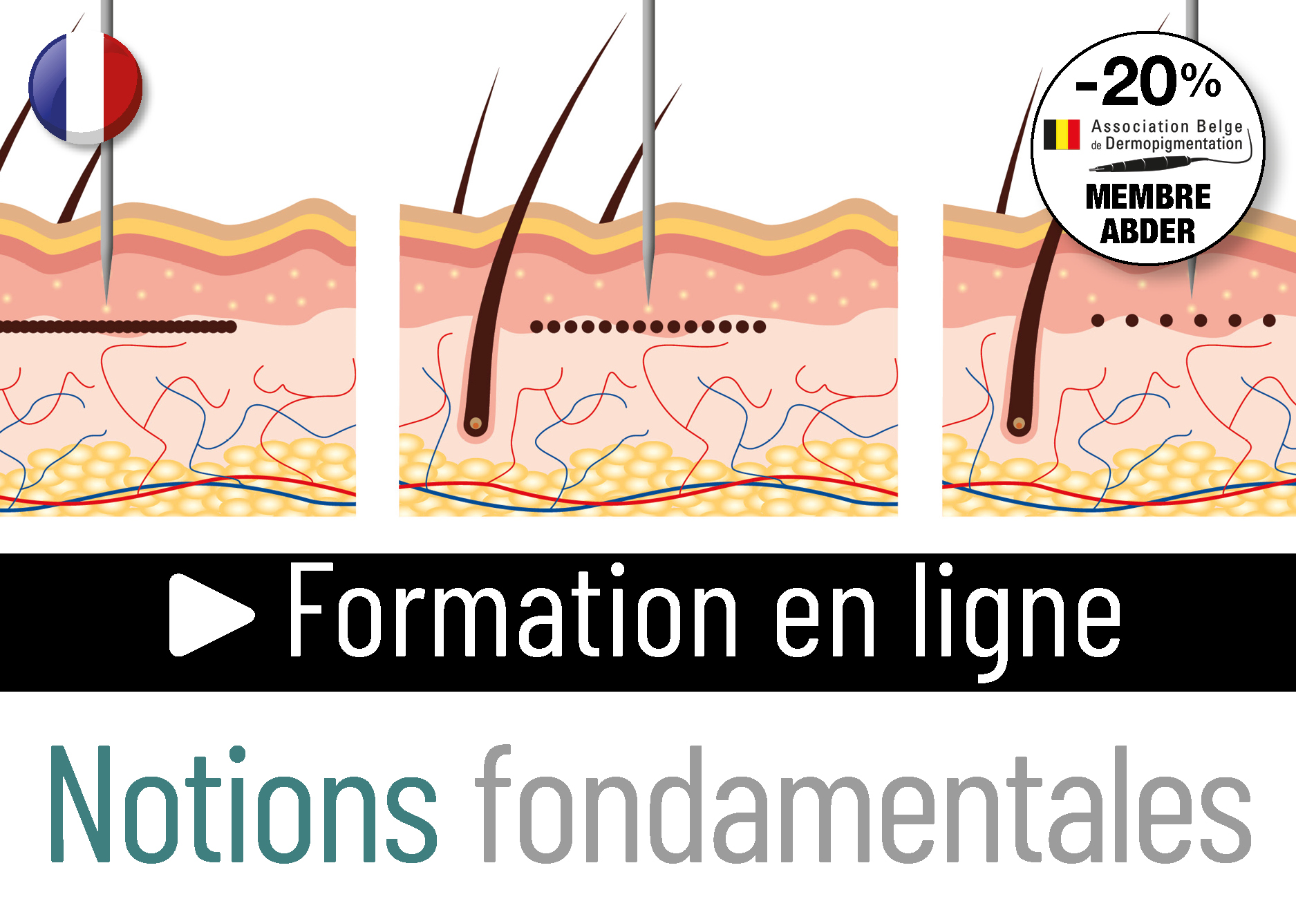 Assimilez les Notions Fondamentales Assimilez les Notions Fondamentales