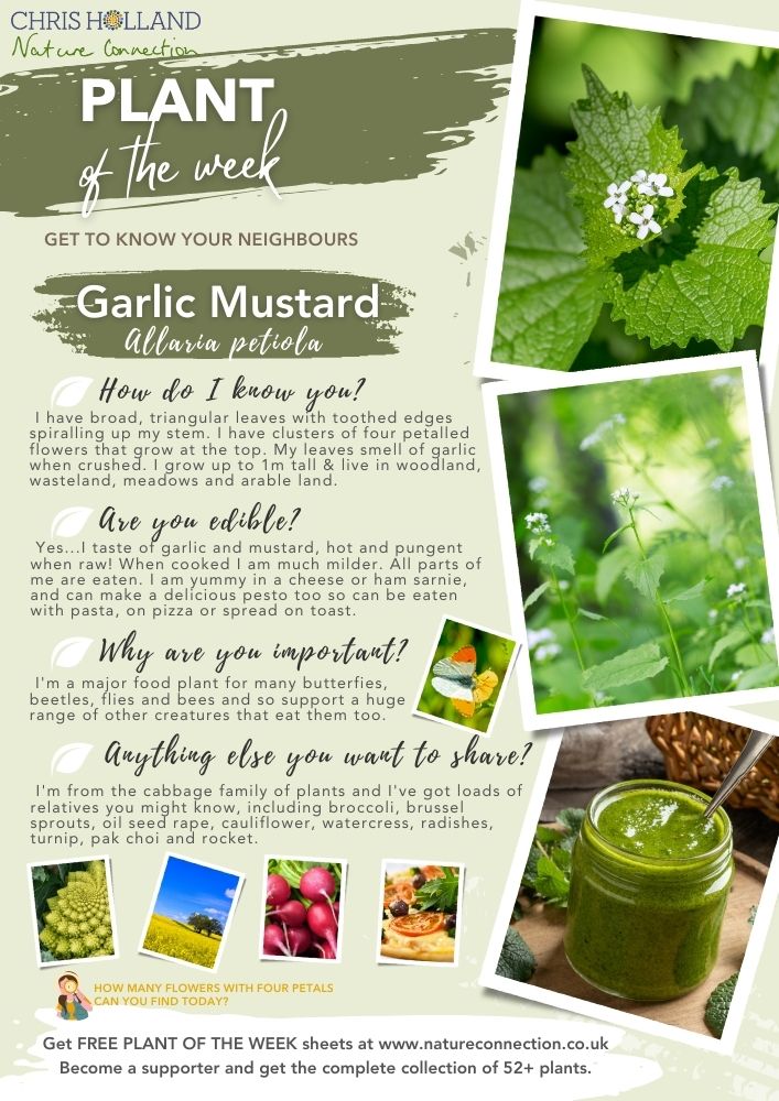 THE PLANT OF THE WEEK COLLECTION