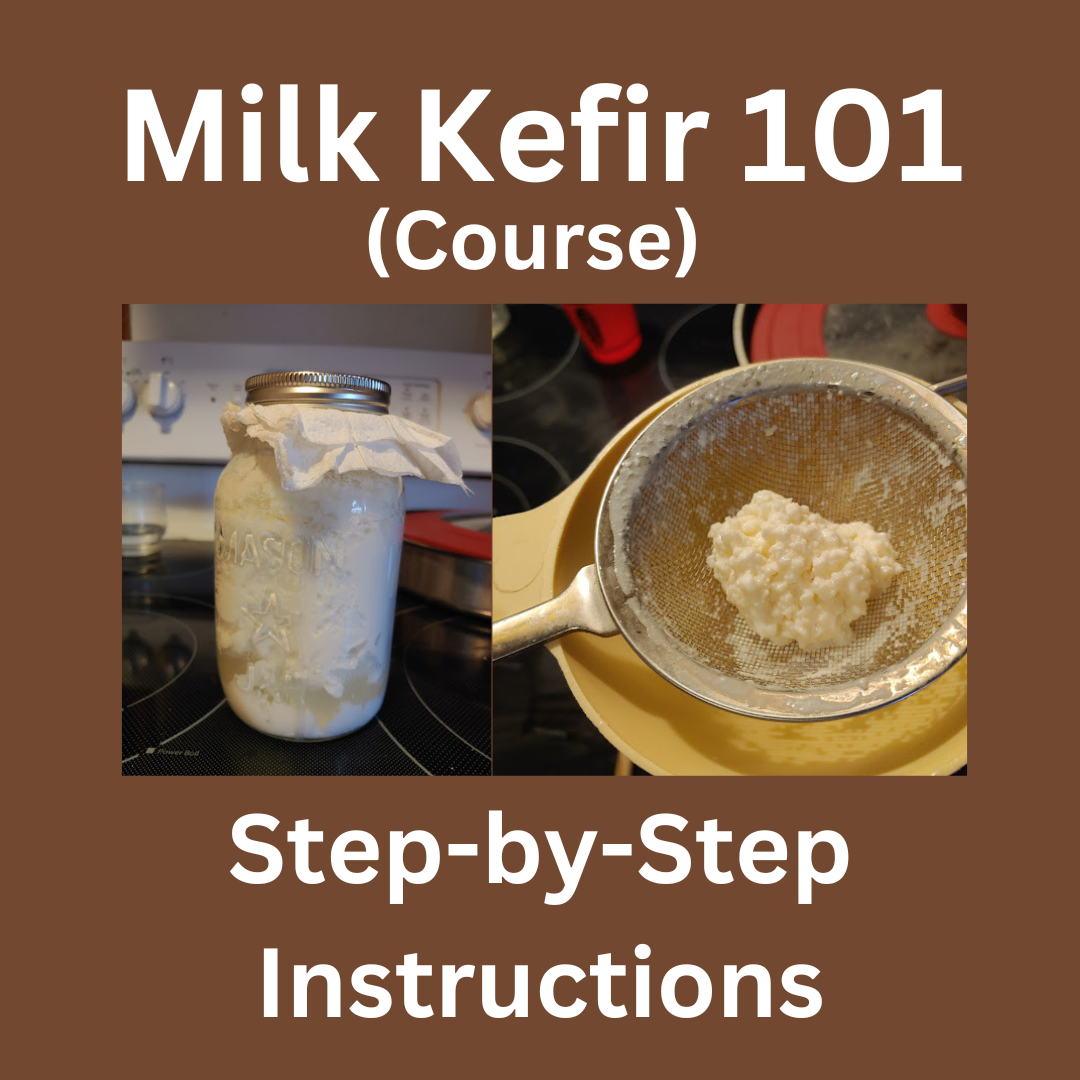 Milk Kefir 101