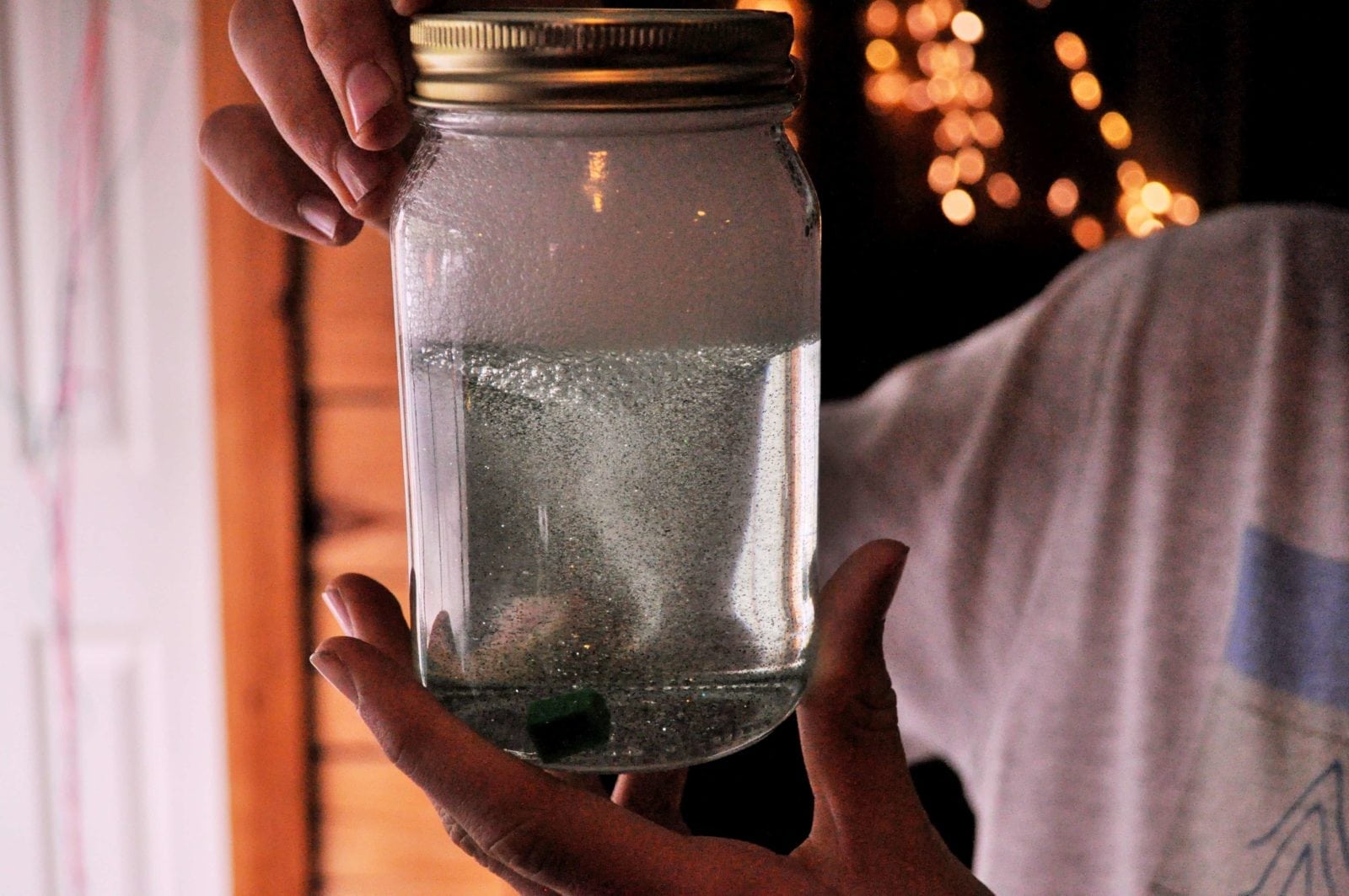 Creative teaching ideas for THE WONDERFUL WIZARD OF OZ