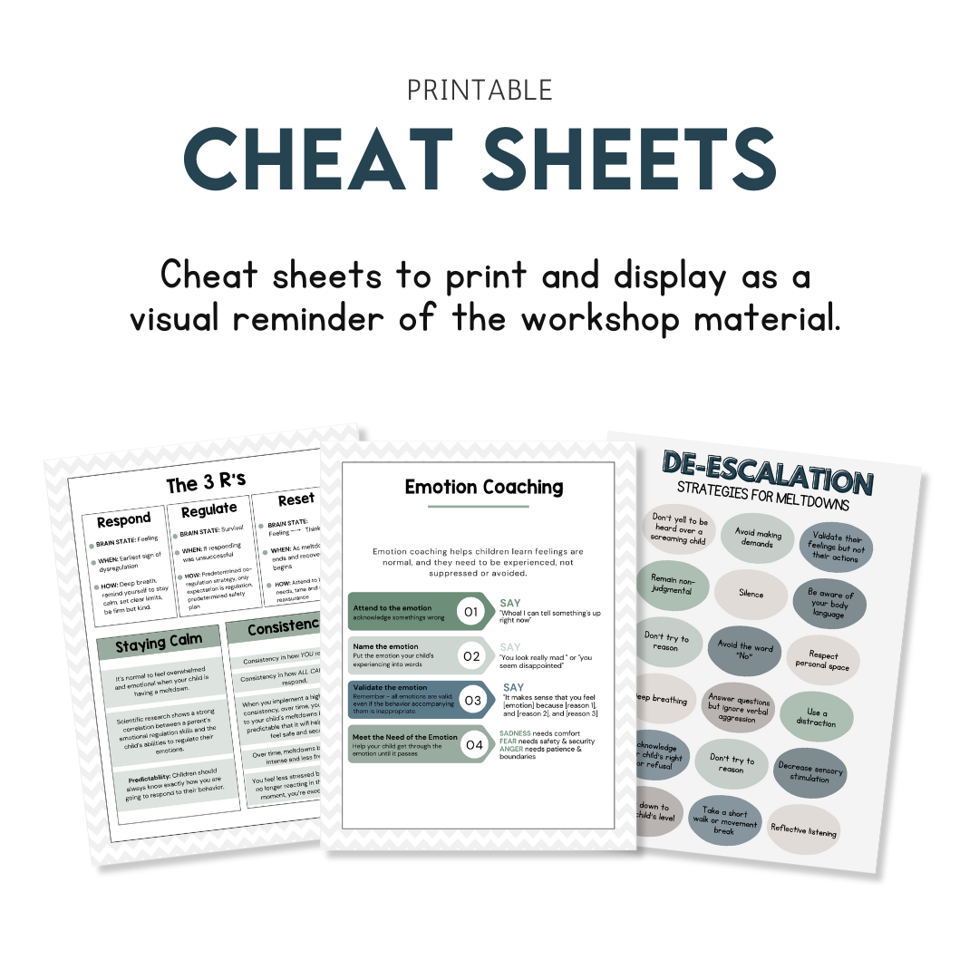 Meltdown Magic Mini Workshop