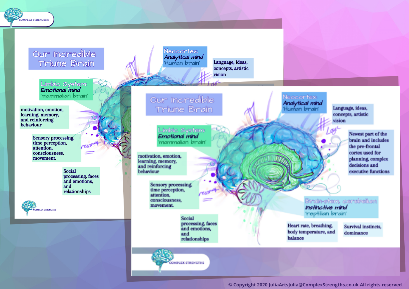 Incredible Triune Brain Bundle
