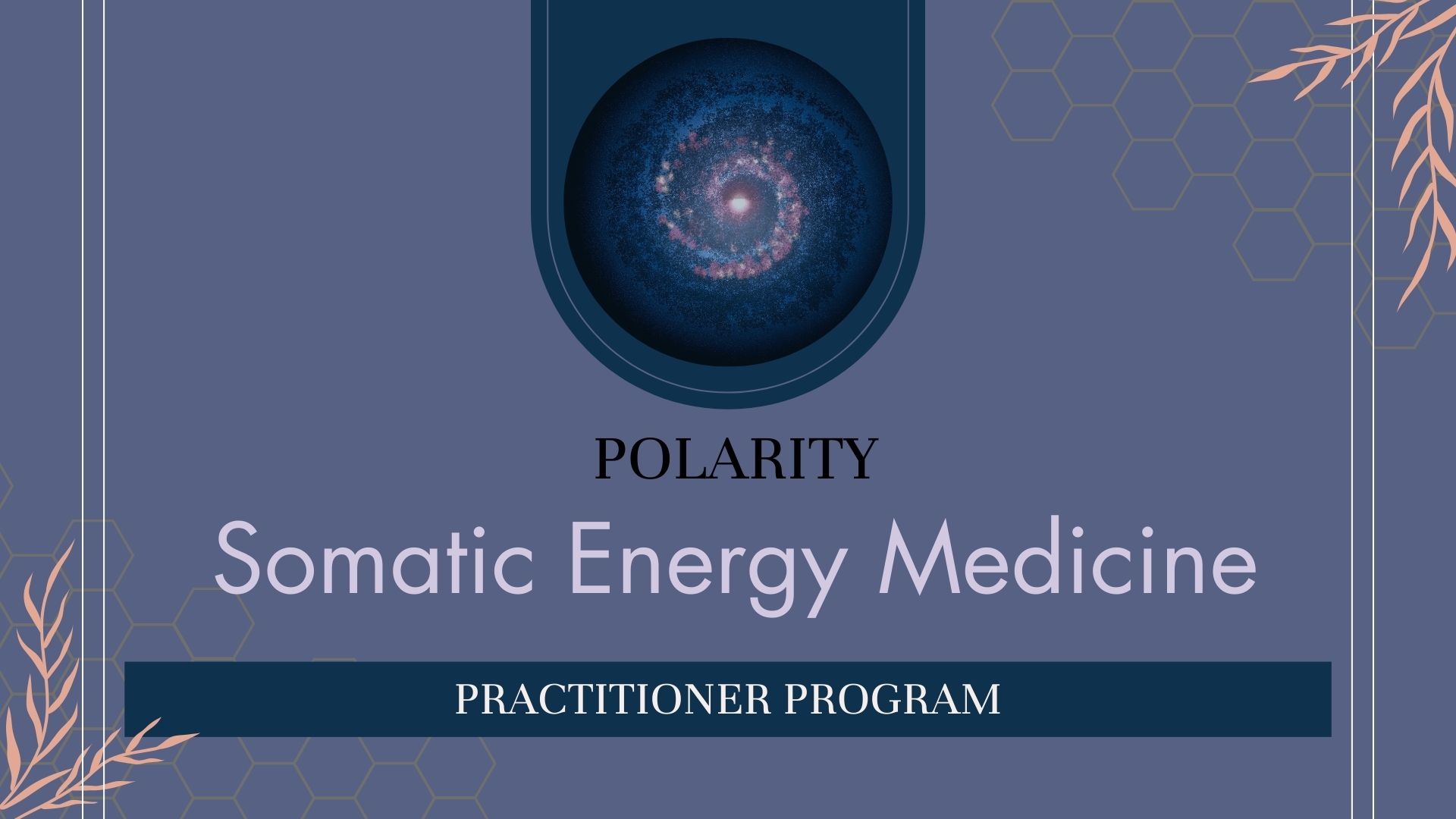 Polarity Somatic Energy Medicine Practitioner Program