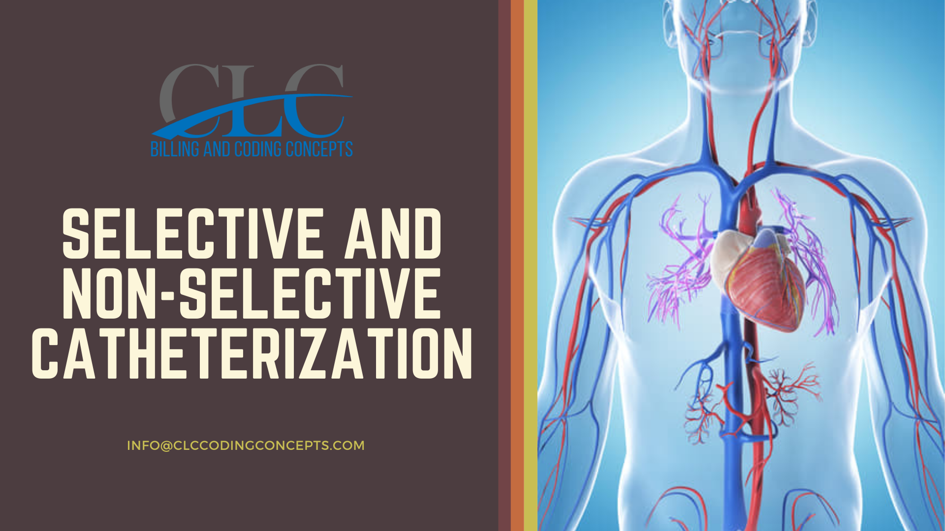 Vascular Catherization