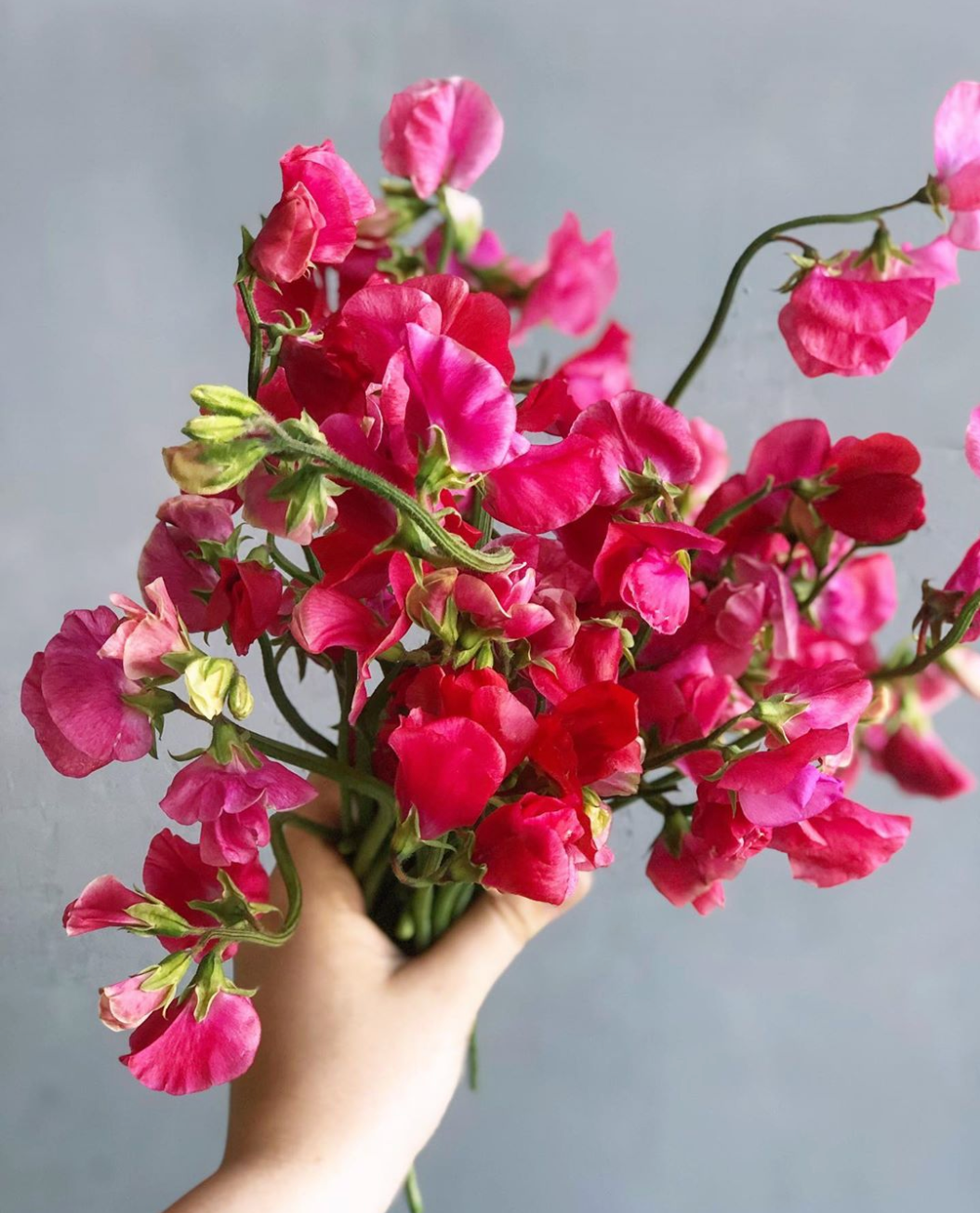 Floral Event Tool Kit