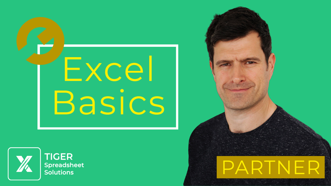 Excel Basics Course