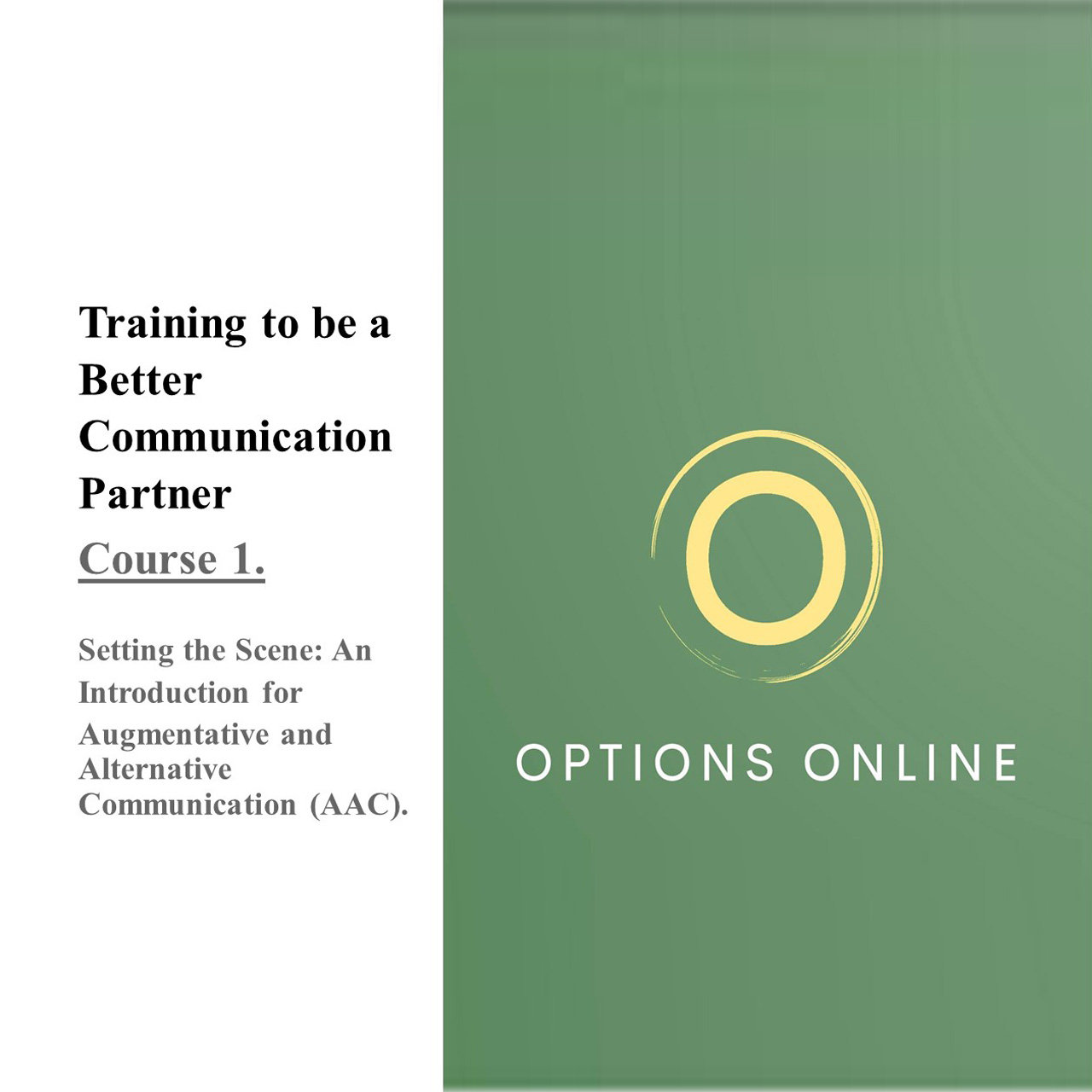 Course 1: Setting the Scene