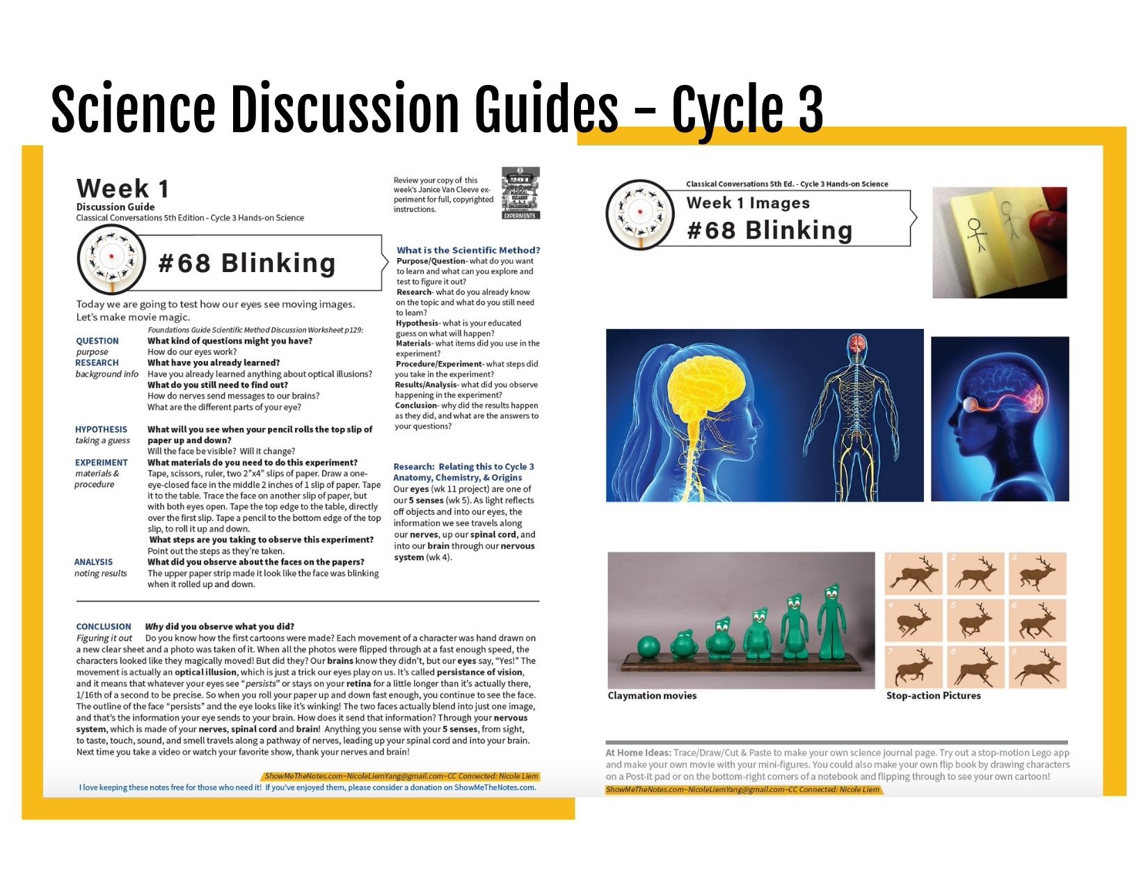 Science Discussion Guides Cycle 3- Anatomy, Chemistry, Probability