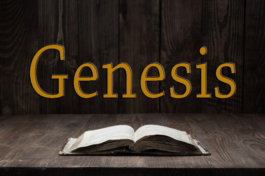 Genesis 101
