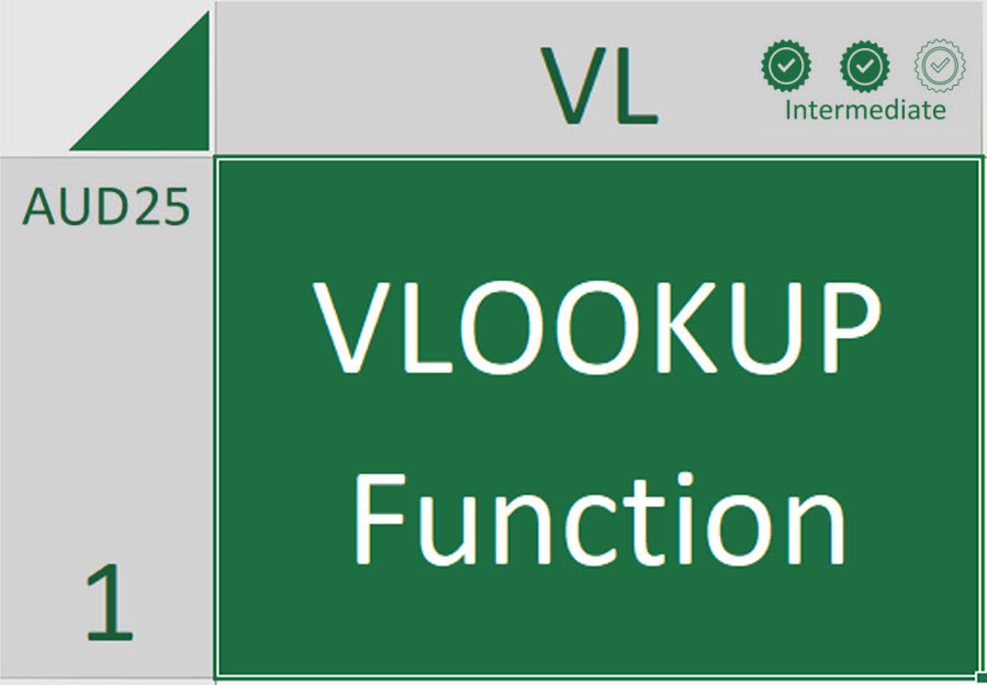 Excel VLOOKUP Function (1.5 hours)