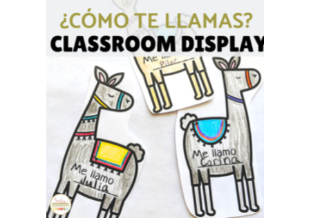 Llama Theme Bulletin Board for Back to School
