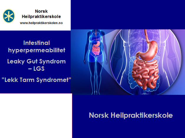 Kurs i LGS / "Lekk Tarm Syndromet"