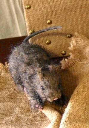 Creative teaching ideas for A LITTLE PRINCESS