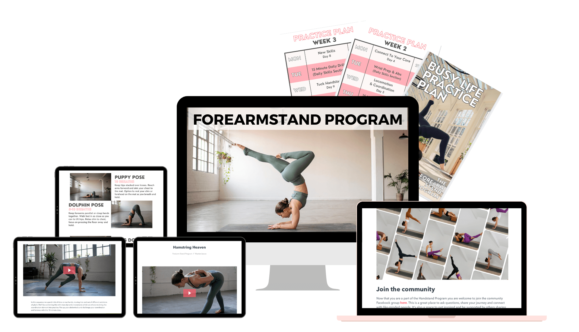 Forearm Stand Program