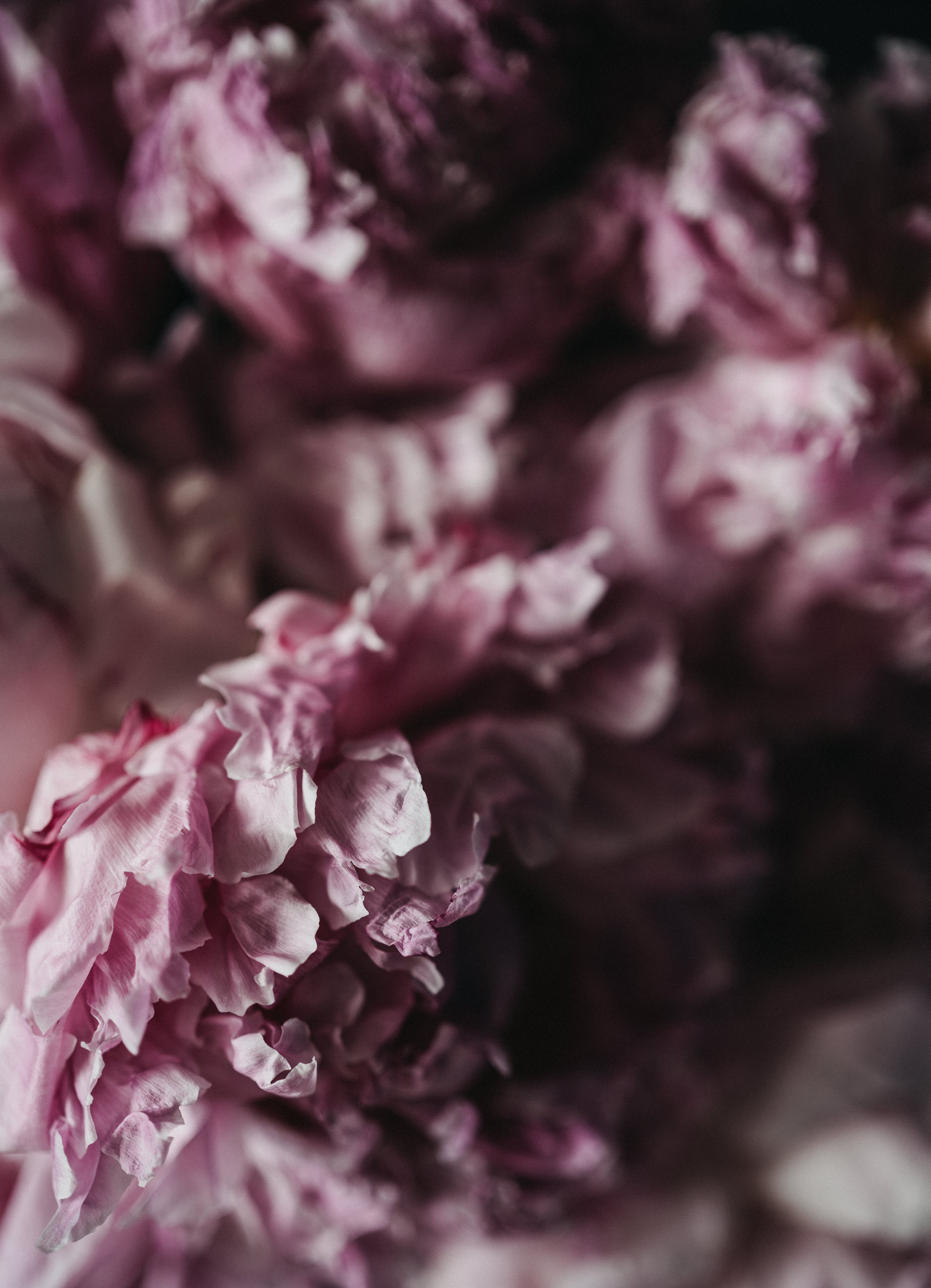 Lightroom Editing Workshop