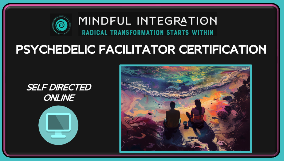 Mindful-Integration-Team