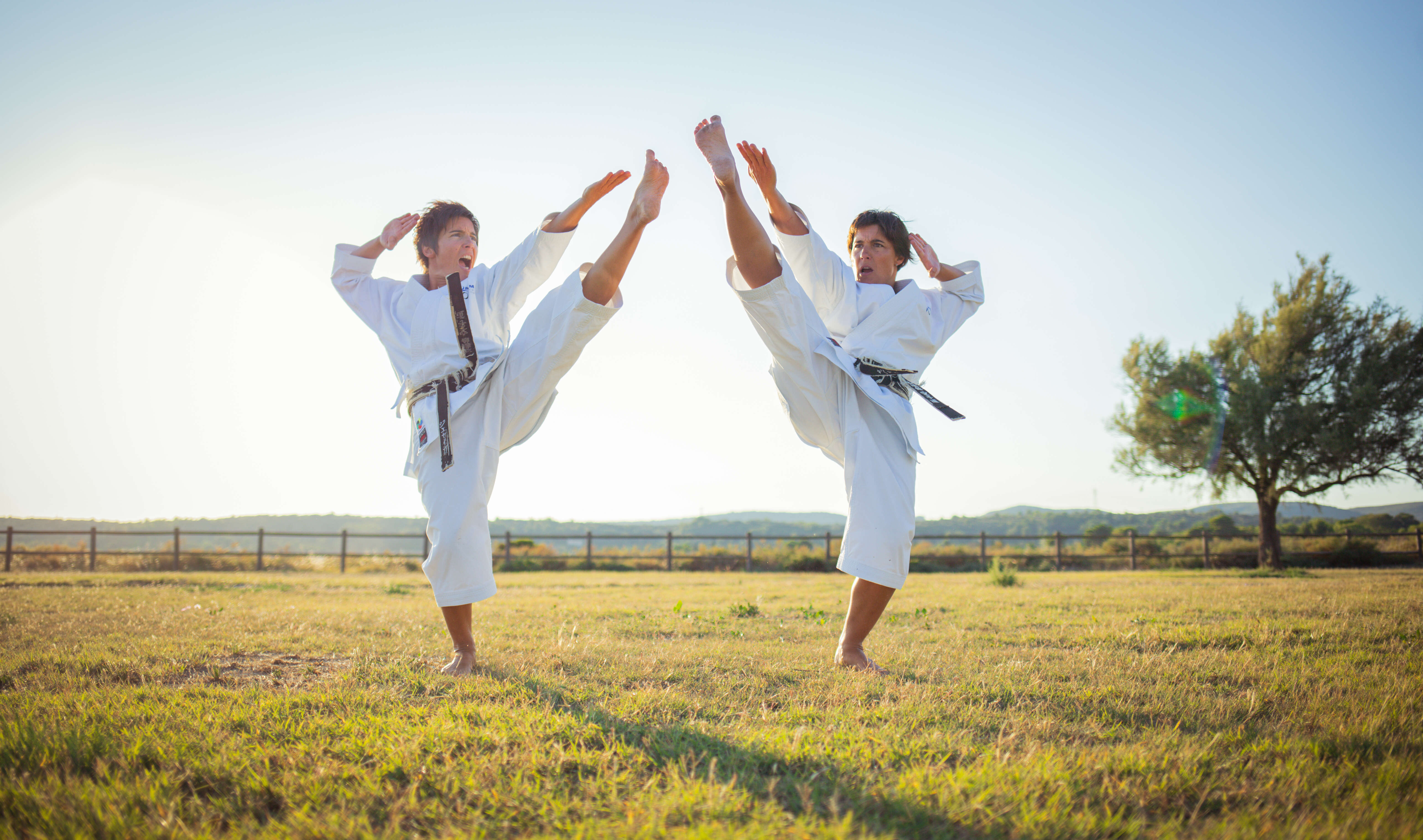 Kata JITTE : une analyse complète et détaillée