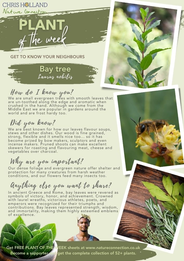 THE PLANT OF THE WEEK COLLECTION