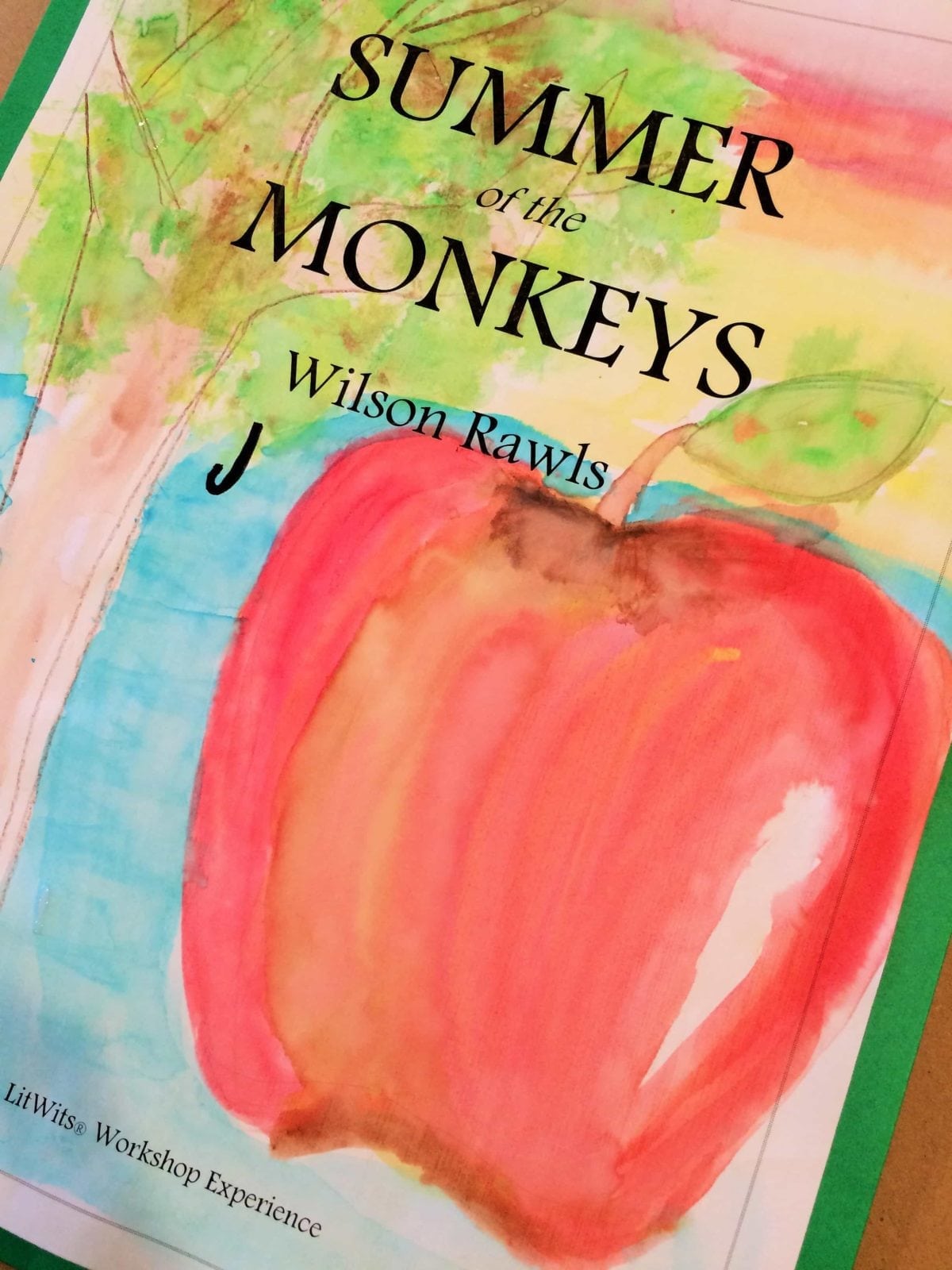 Creative teaching ideas for SUMMER OF THE MONKEYS