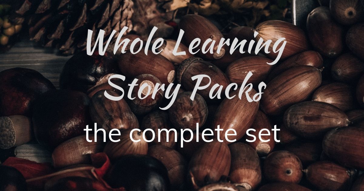 Whole Learning story pack bundle