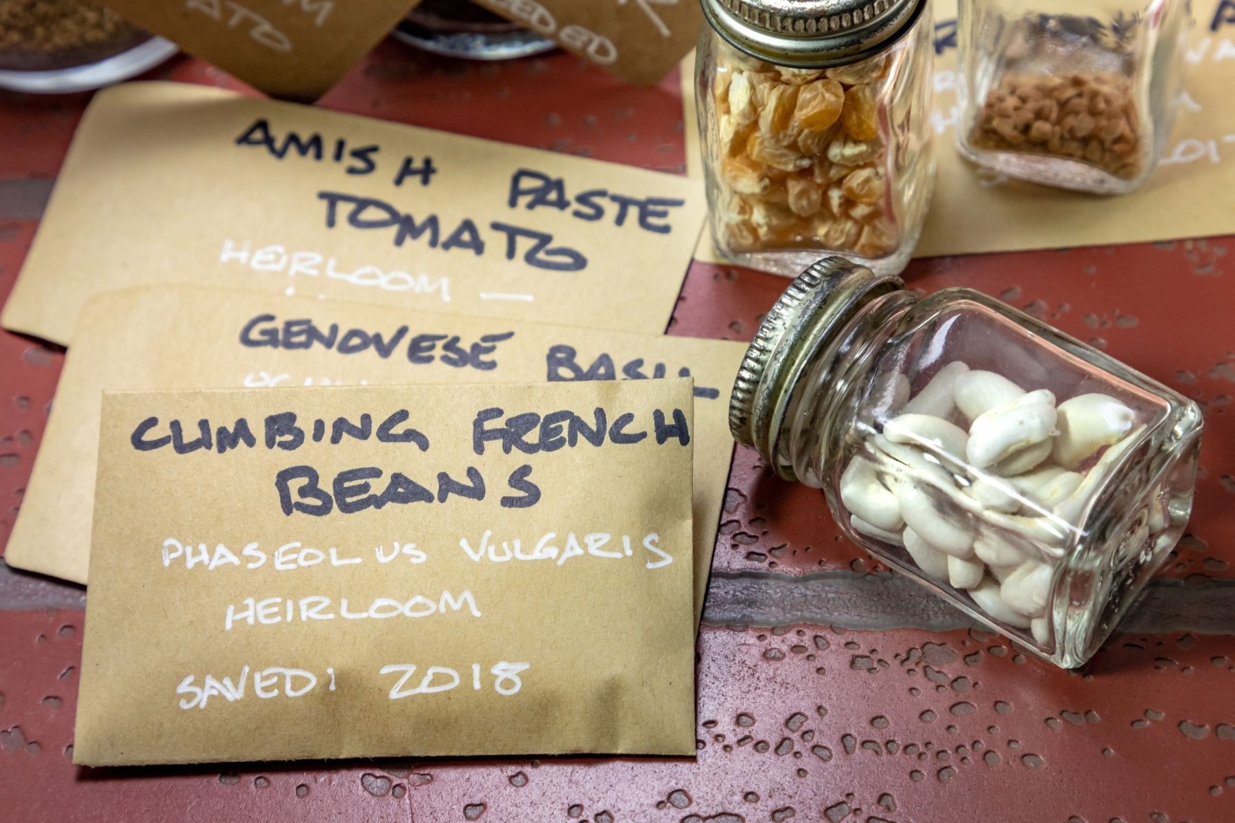 Intro to Seed Saving