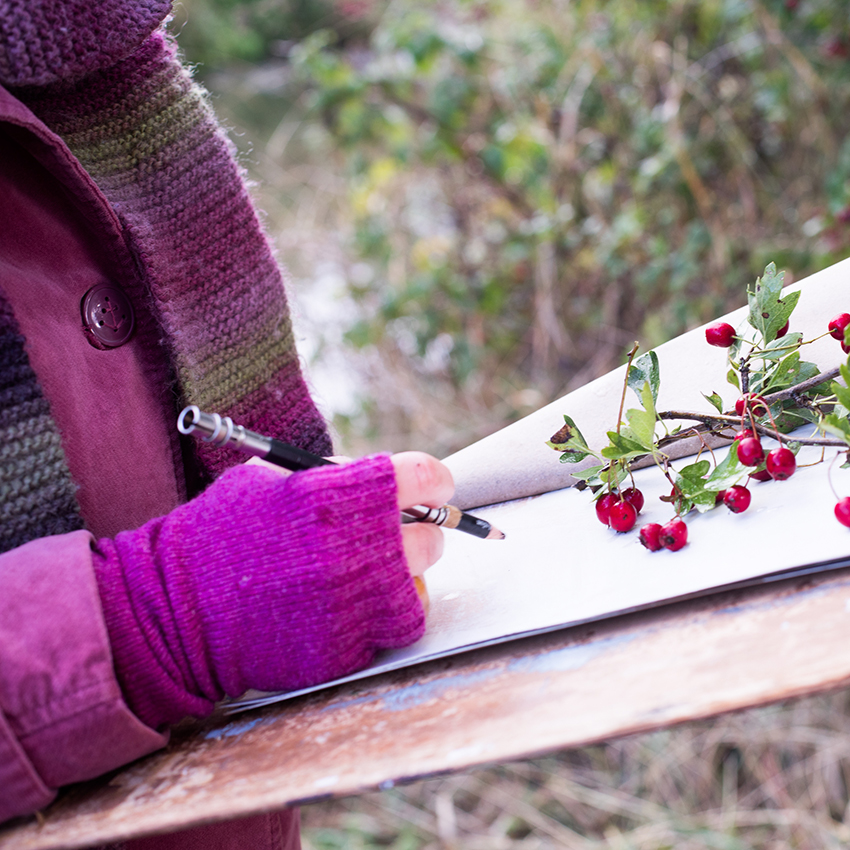 Sketchbook Confidence - Fearless Drawing
