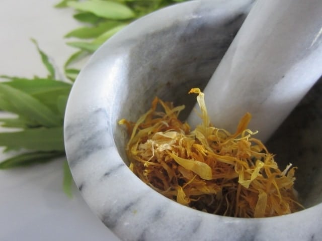 Creative teaching ideas for JOHNNY TREMAIN