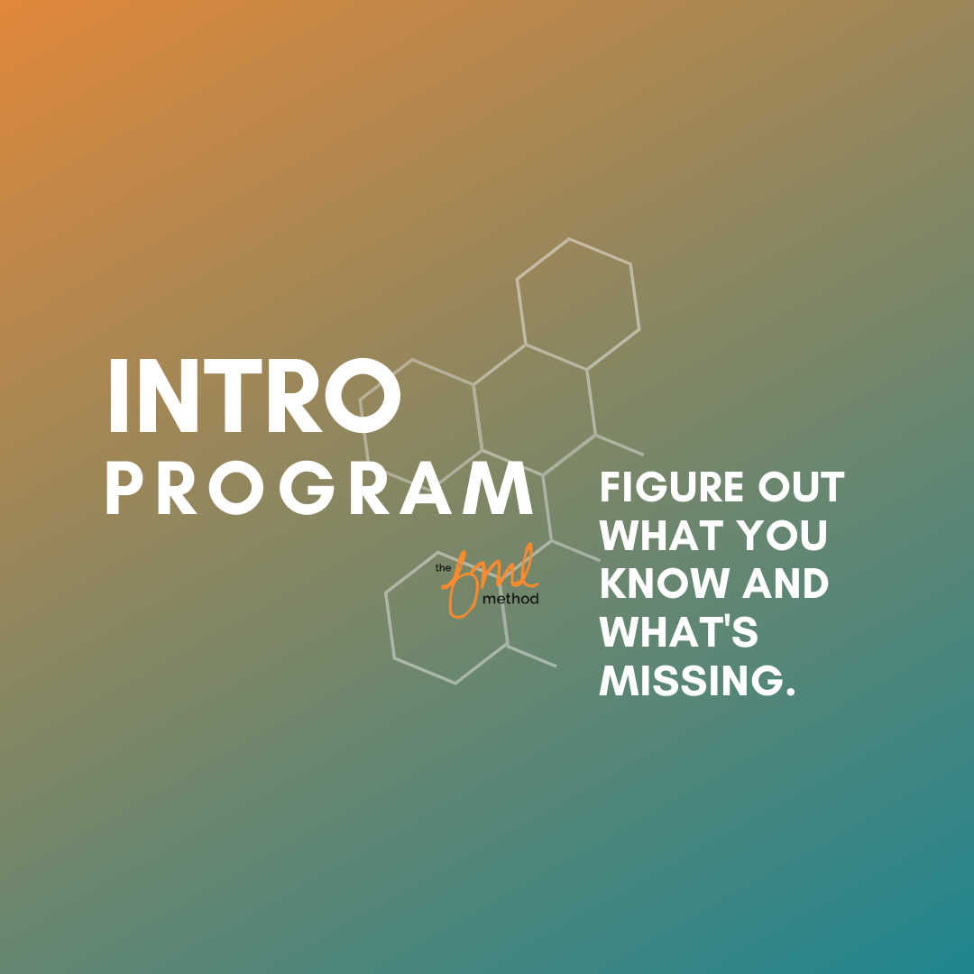 Intro Program