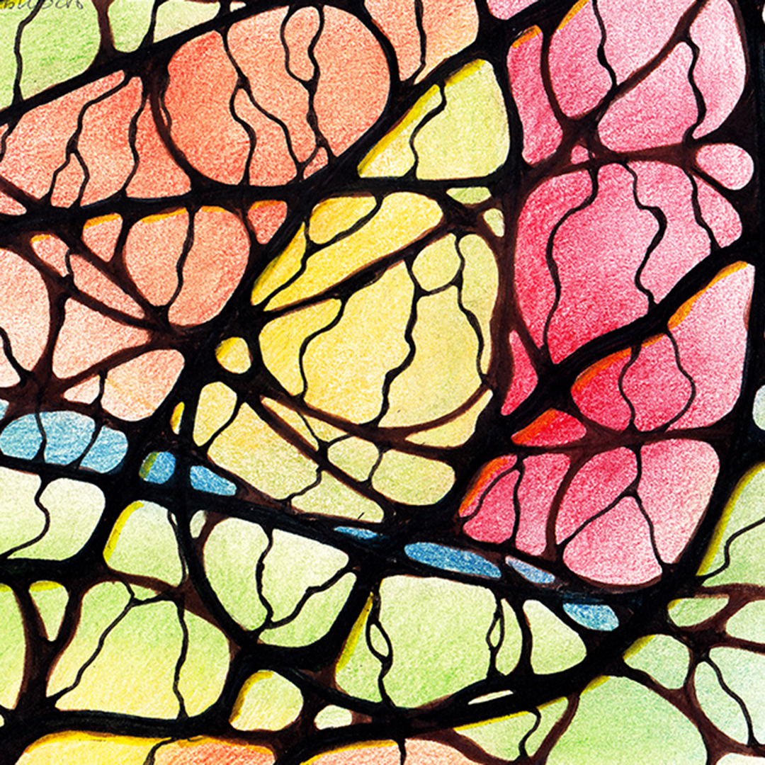 NeuroGraphica Basic User Course