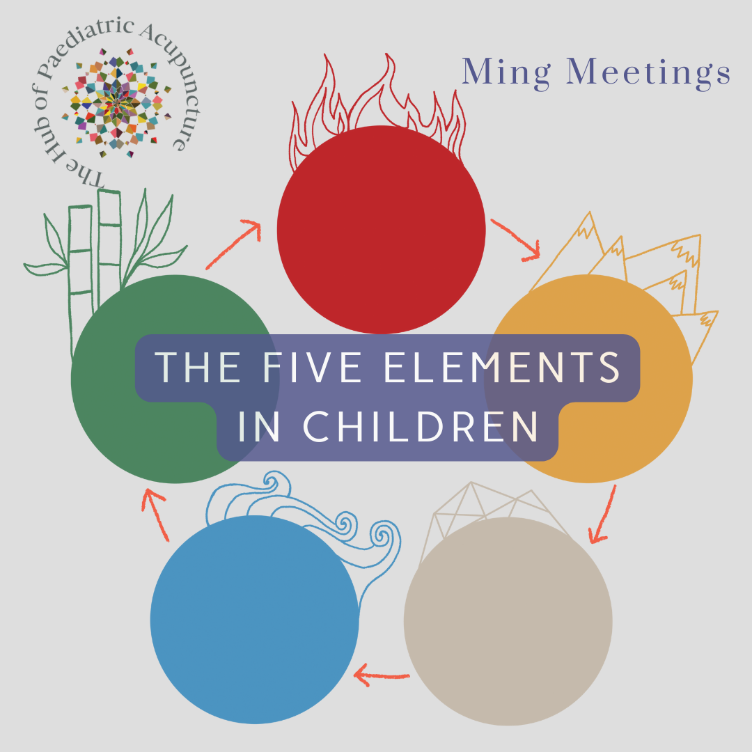 Five Element Ming Meetings | The Fire, Earth, Wood, Water and Metal ...