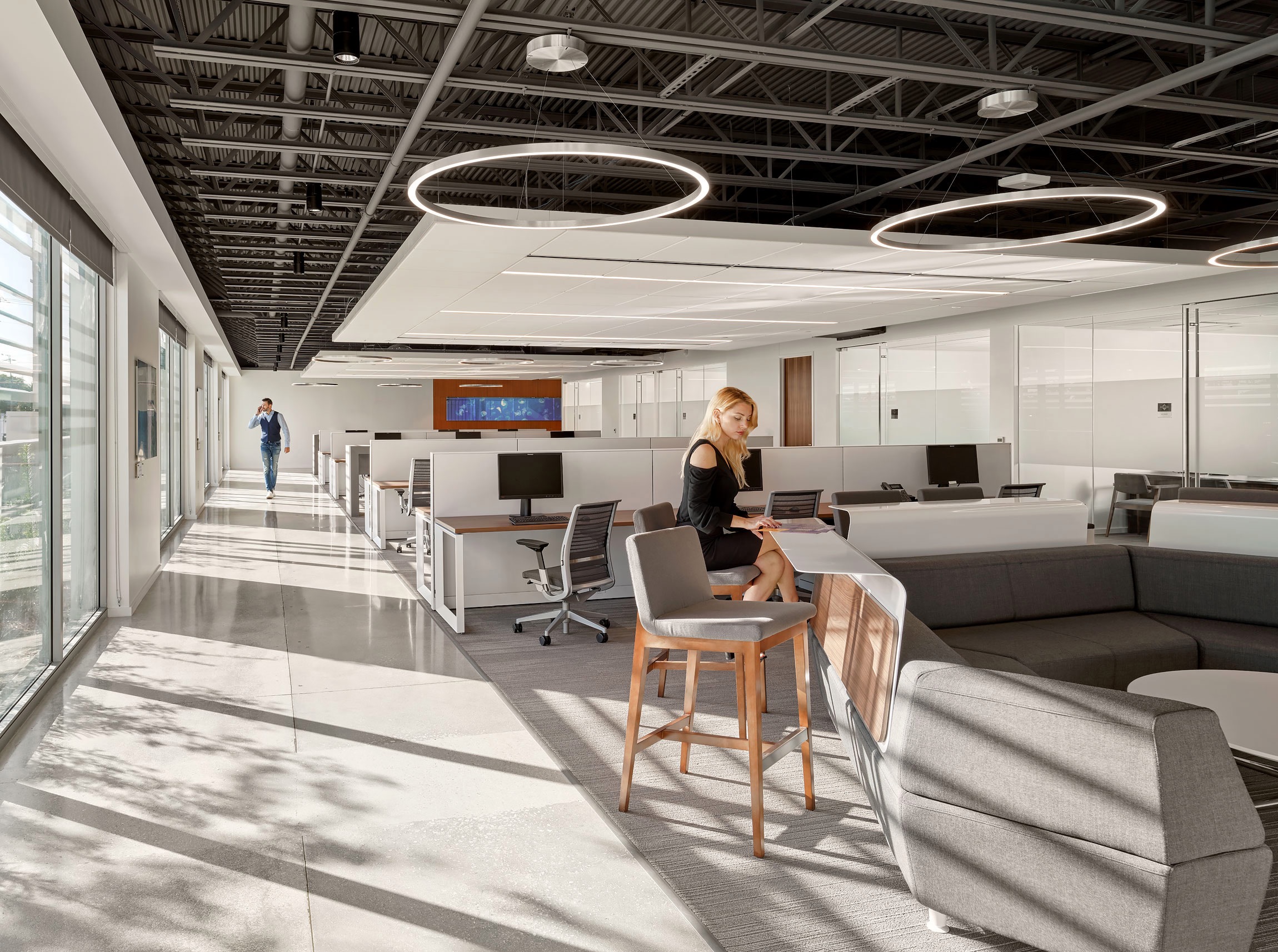 Commercial Collection