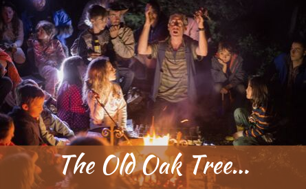 Whole Learning story pack 10: The Old Oak Tree and the Young Oak Tree